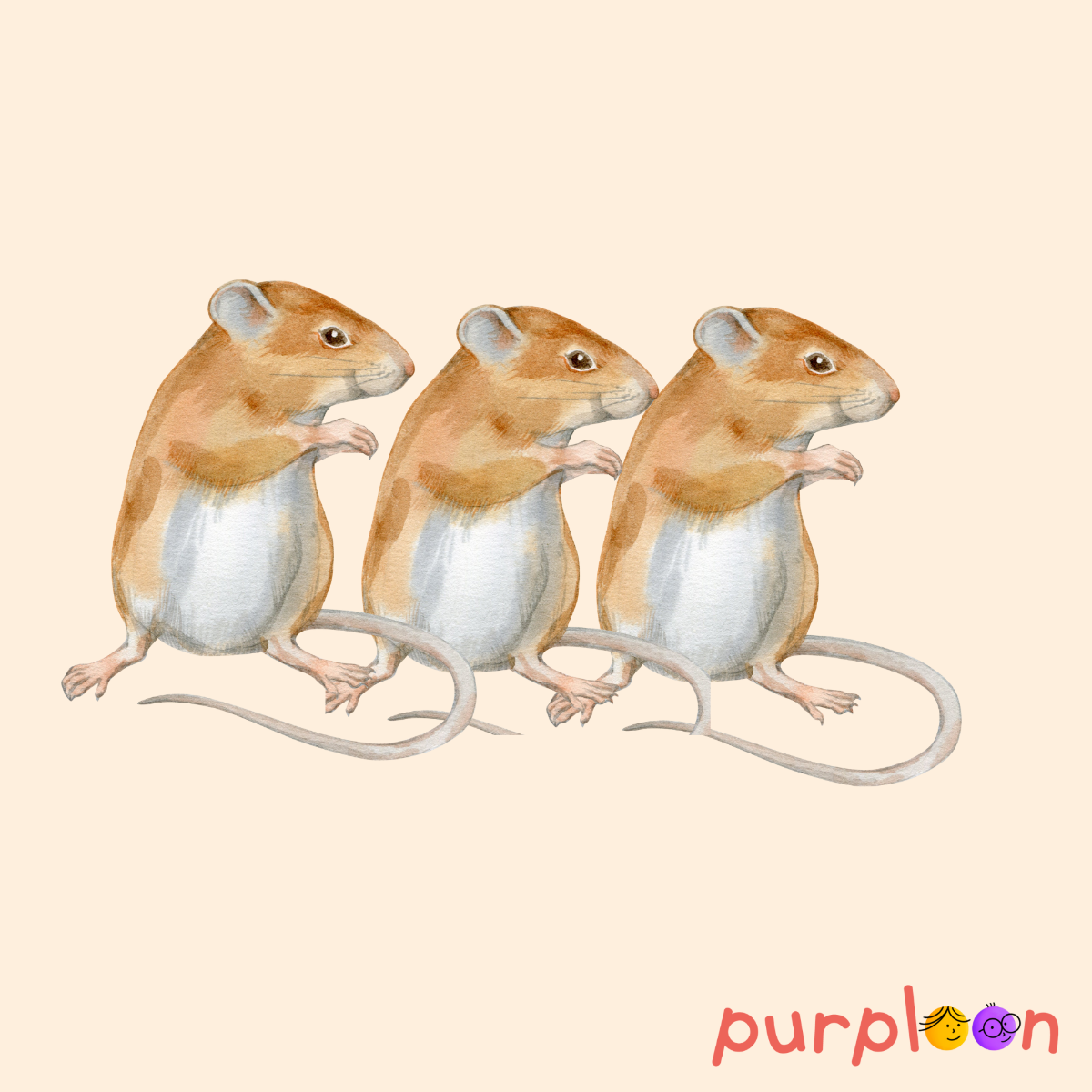 Three Blind Mice