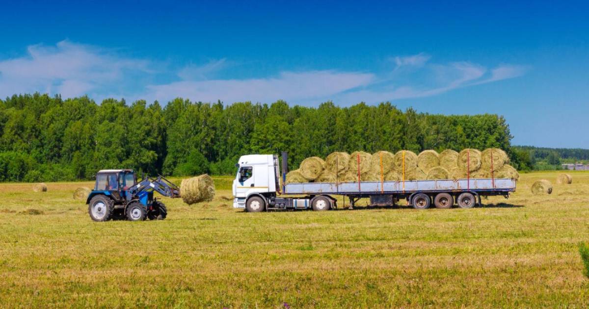 The Role of Logistics Management in the Agri-Biz
